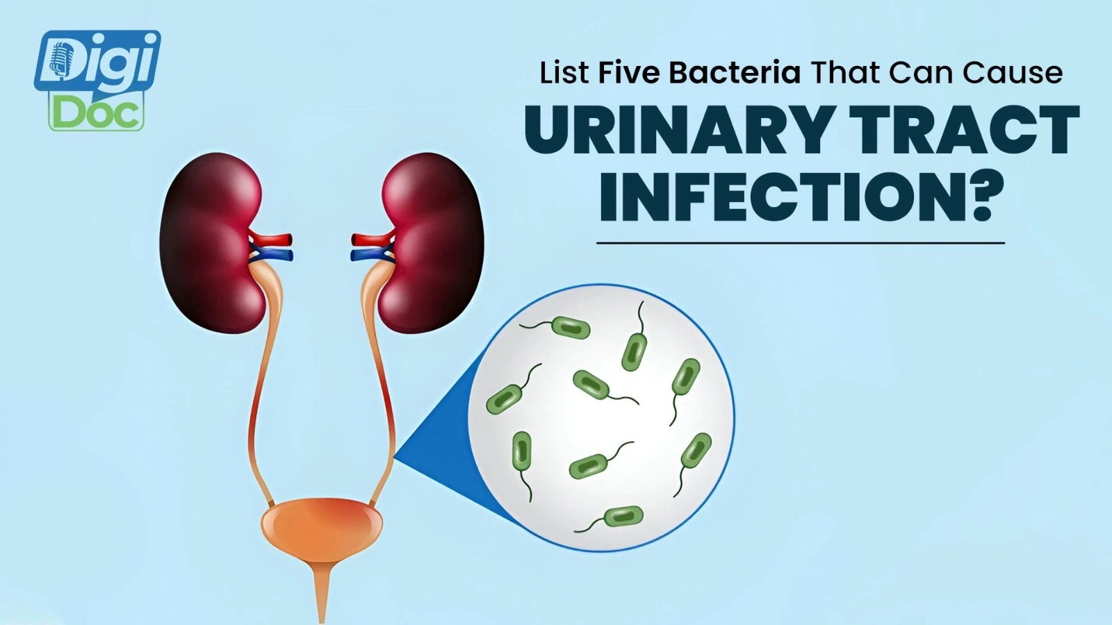List Five Bacteria That Can Cause Urinary Tract Infection?